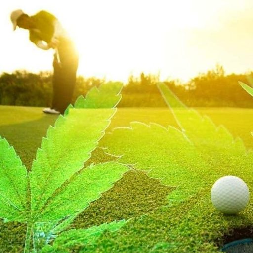 The Complete Guide To Cannabis Oil Infusions • Feel State | Cannabis ...