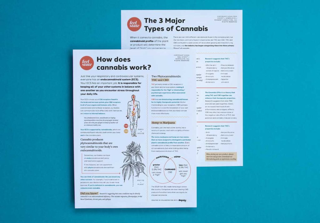 Download: Intro To Cannabis — ECS + 3 Types Of Cannabis • Feel State ...